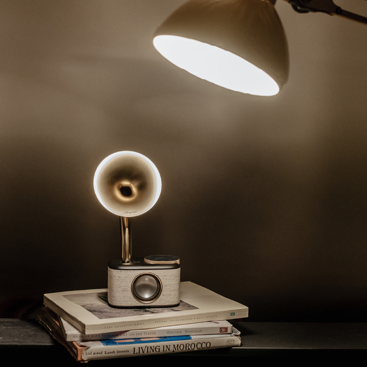 CP-100D DAB+ / FM / Bluetooth / AUX│SANGEAN Electronics