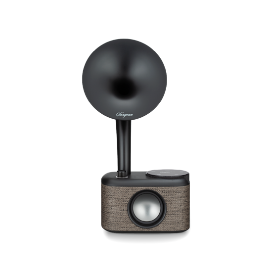 CP-100D DAB+ / FM / Bluetooth / AUX│SANGEAN Electronics