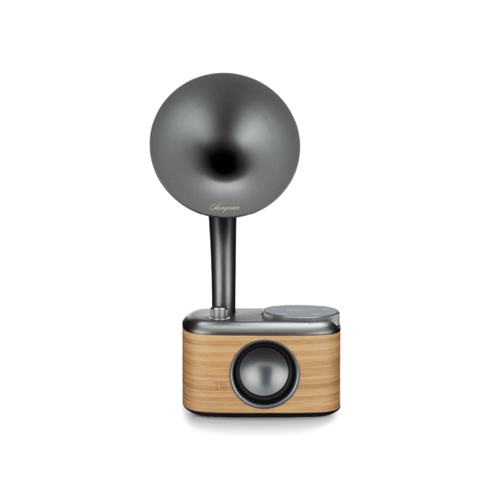 CP-100D DAB+ / FM / Bluetooth / AUX│SANGEAN Electronics