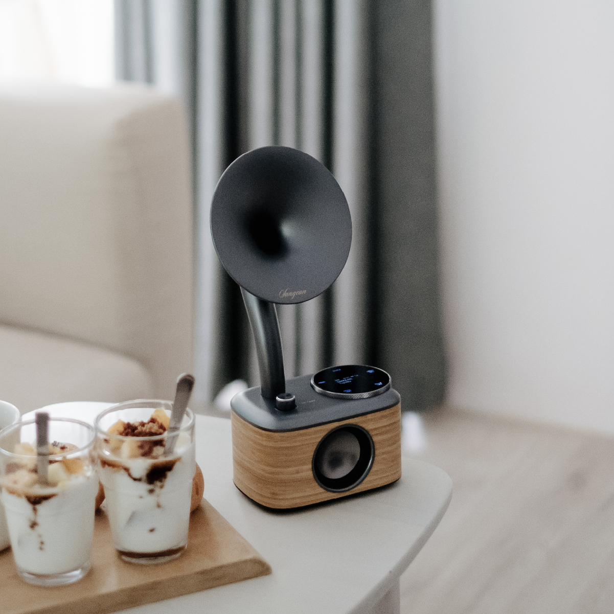 CP-100D DAB+ / FM / Bluetooth / AUX│SANGEAN Electronics