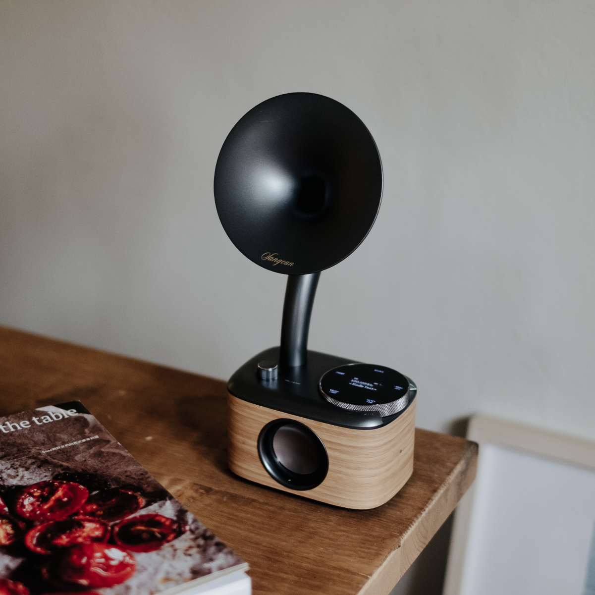 CP-100D DAB+ / FM / Bluetooth / AUX│SANGEAN Electronics