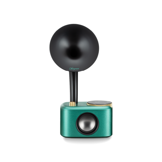 CP-100D DAB+ / FM / Bluetooth / AUX│SANGEAN Electronics