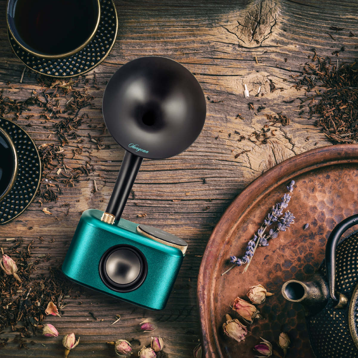 CP-100D DAB+ / FM / Bluetooth / AUX│SANGEAN Electronics