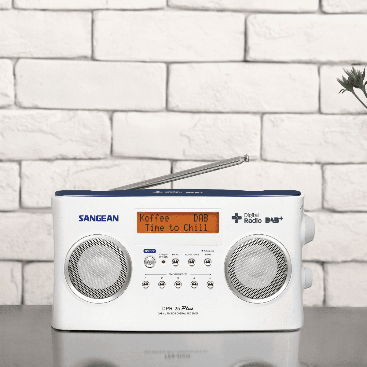 DPR-25+ DAB+/FM-RDS Digital Stereo Radio│SANGEAN Electronics