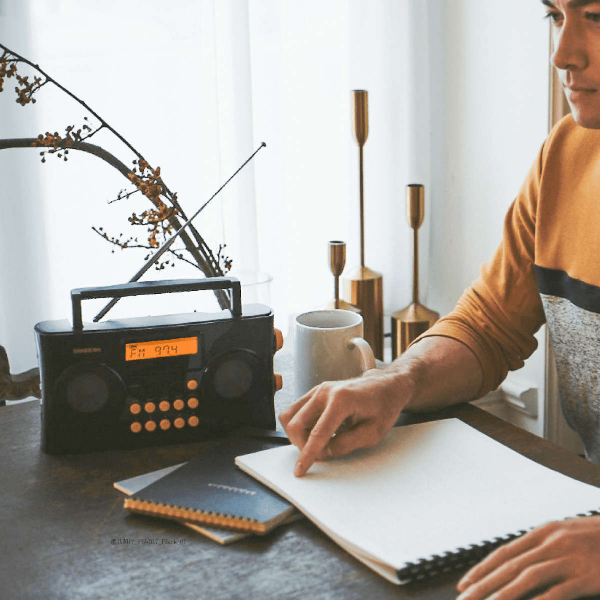 PR-D17 AM/FM Stereo/Voice Prompts Radio│SANGEAN Electronics