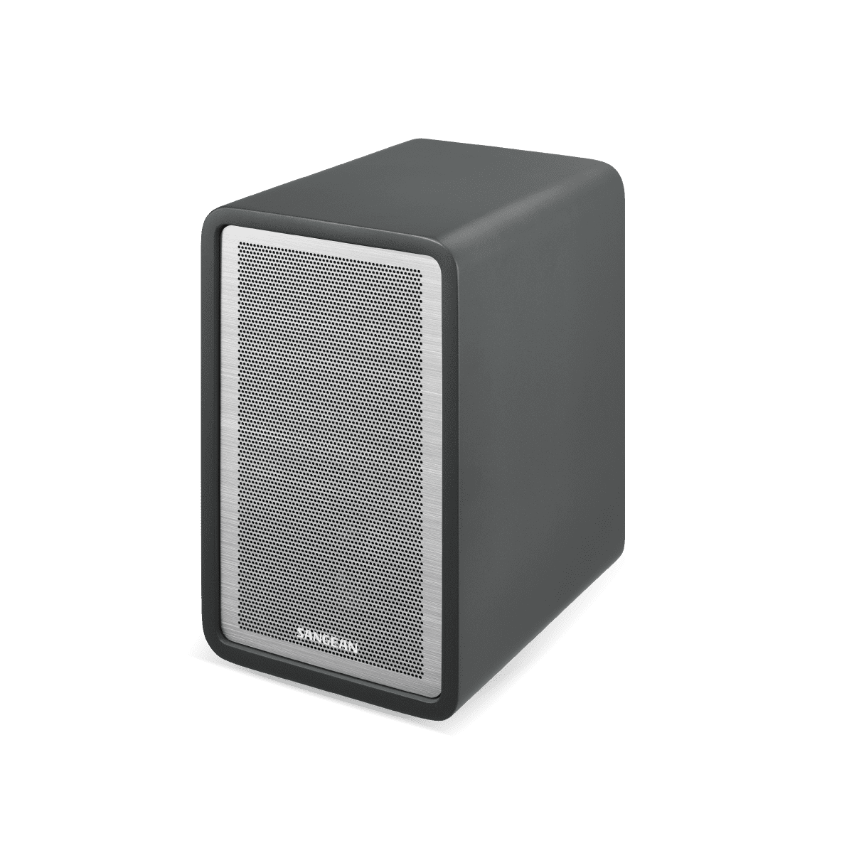 SP-40 Sub-Lautsprecher Für Stereo-Pairing│SANGEAN Electronics