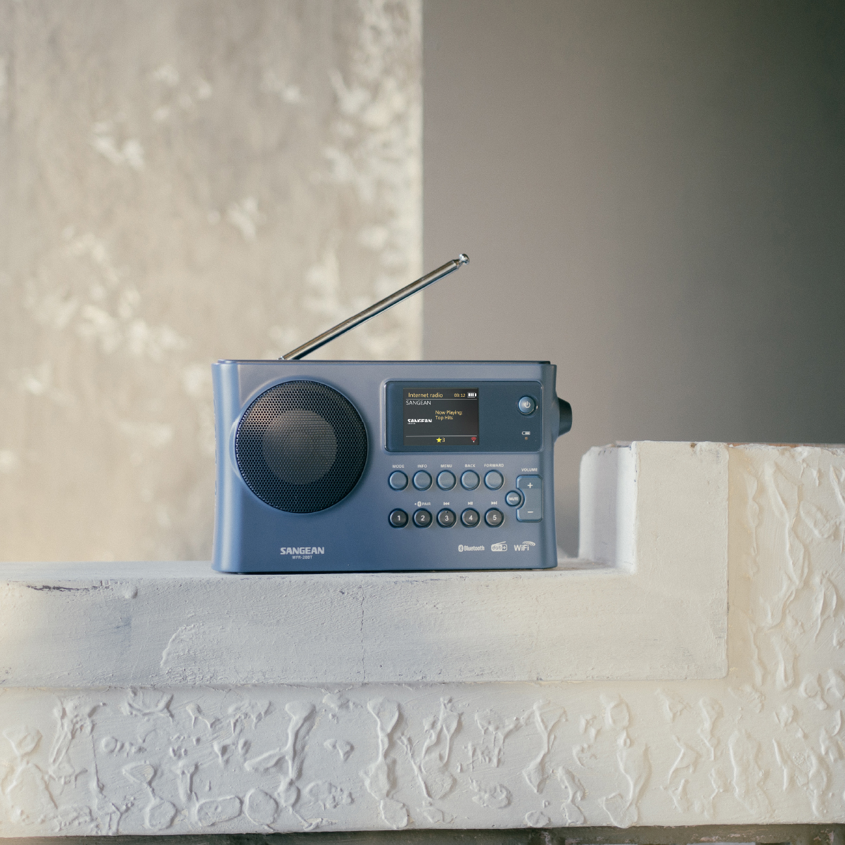 WFR-28BT DAB+/FM/藍牙/網際網路/網路音樂數位收音機│山進電子