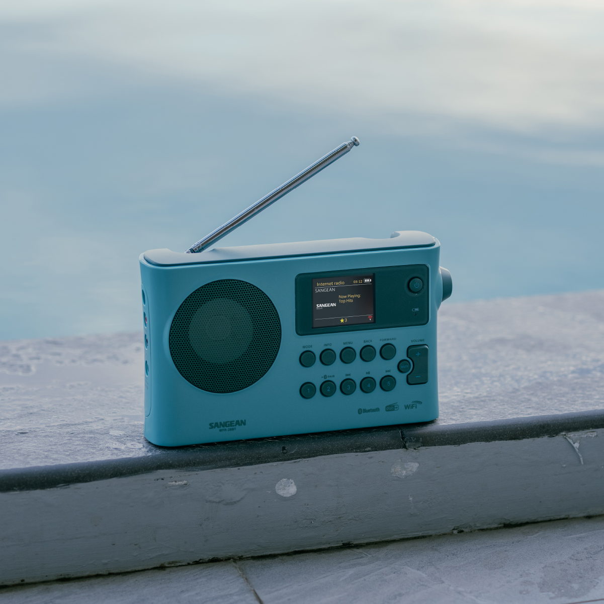 WFR-28BT DAB+/FM/藍牙/網際網路/網路音樂數位收音機│山進電子