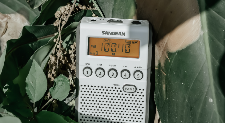 DT-800 AM / FM Rechargeable Pocket Radio│SANGEAN Electronics