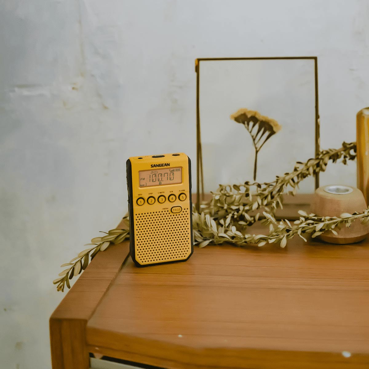 DT-800 AM / FM Rechargeable Pocket Radio│SANGEAN Electronics